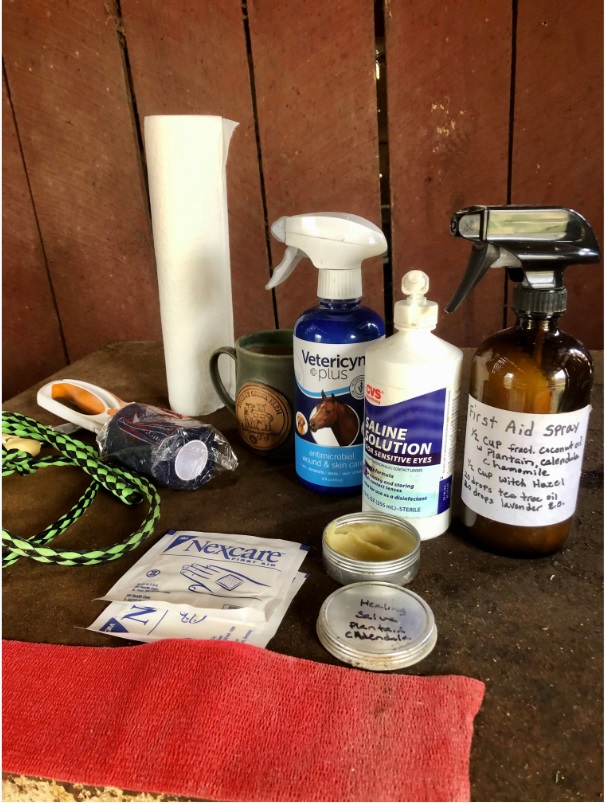 Goat Leg Injuries that Sideline Your Caprines - Goat Journal